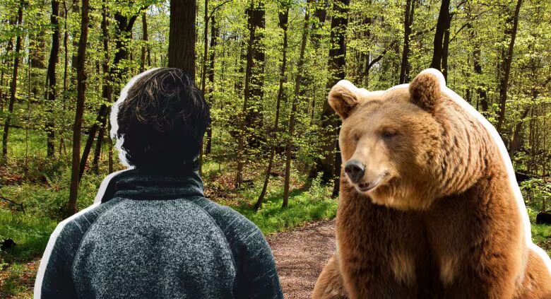 Why She’d Pick The Bear | Arc UNSW Student Life