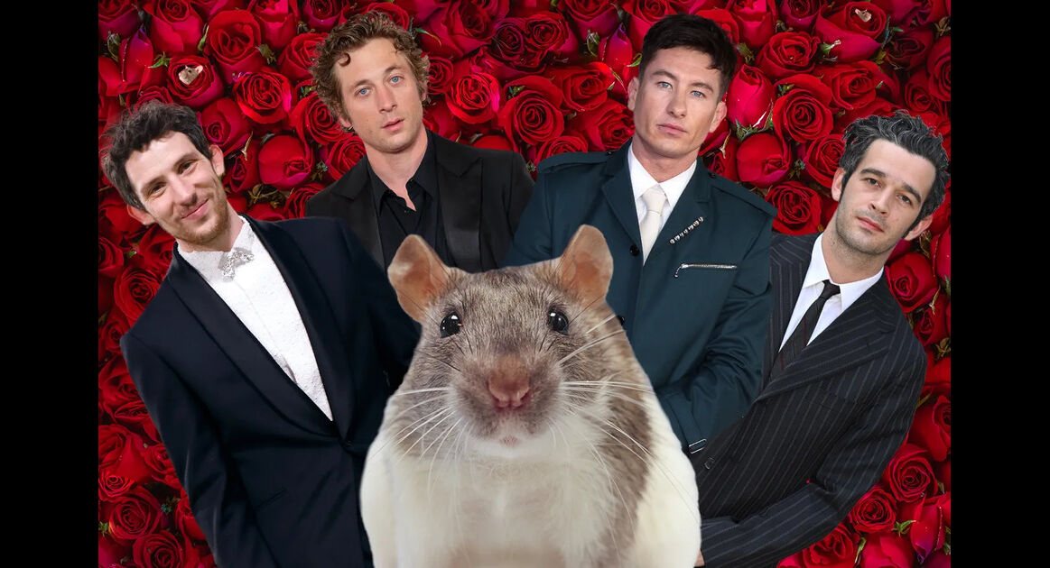 Are You Starting to Think the Rat From 'Flushed Away' is Attractive ...